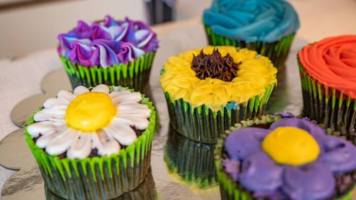 Cupcake Decorating Competition & Display - Peddler's Village